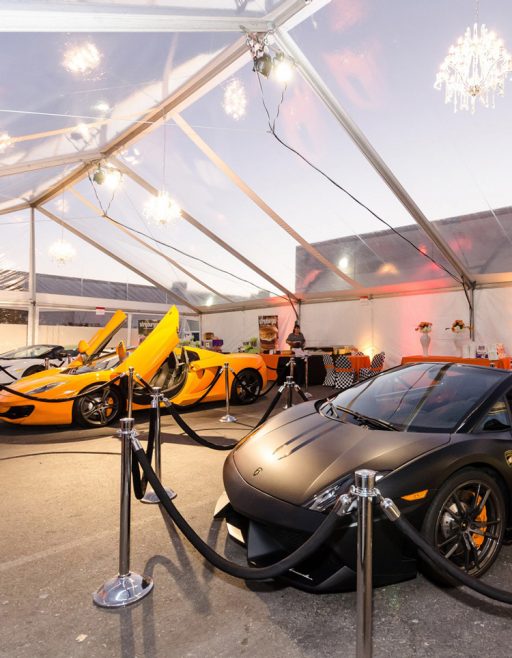 Party & Event Tents Rentals at RSVP Party Rentals